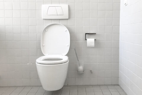 Homepage - Saniware